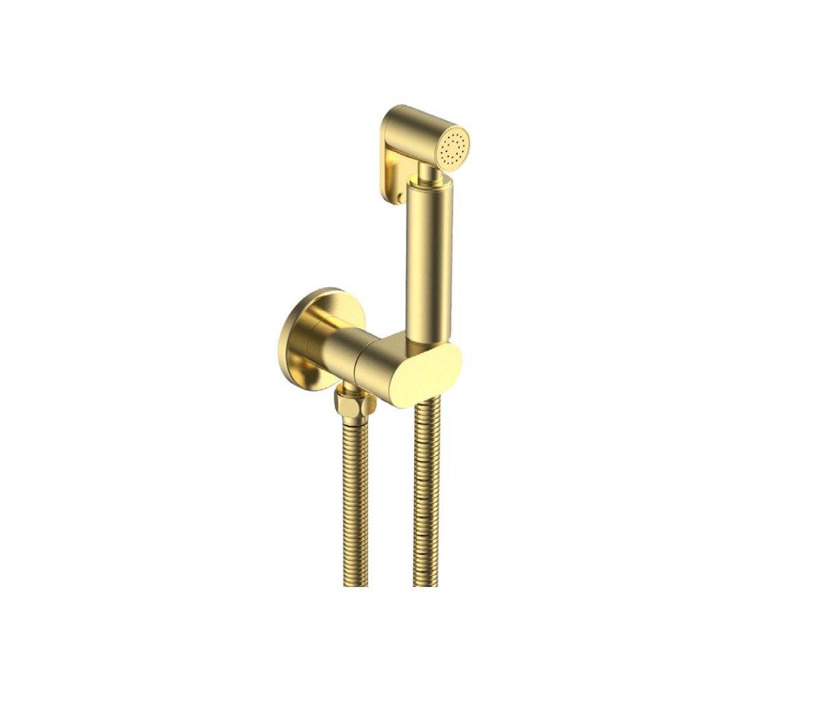 DOUCHE KIT (Round) With Anti-Flood Safety Valve- BRUSHED GOLD - Brit ...